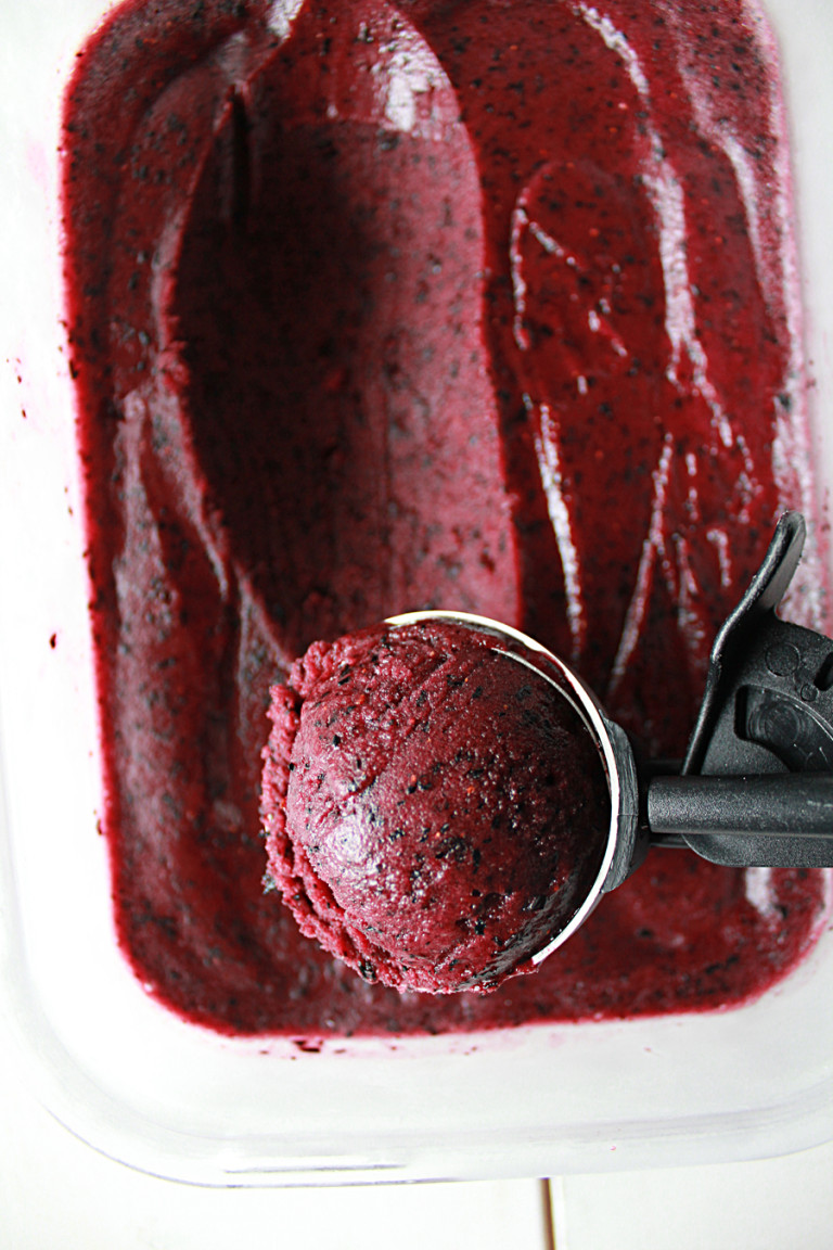 Easy Blueberry Sorbet - Oh Sweet Day! Blog